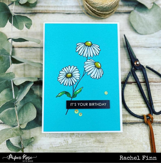 It's Your Birthday - Rachel Finn – Paper Rose Studio