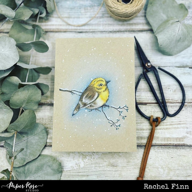Beautiful Bird - Rachel Finn – Paper Rose Studio