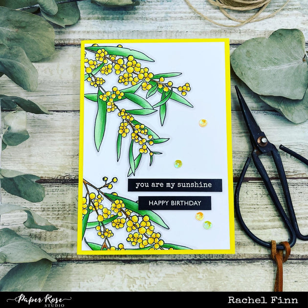 You Are My Sunshine - Rachel Finn – Paper Rose Studio