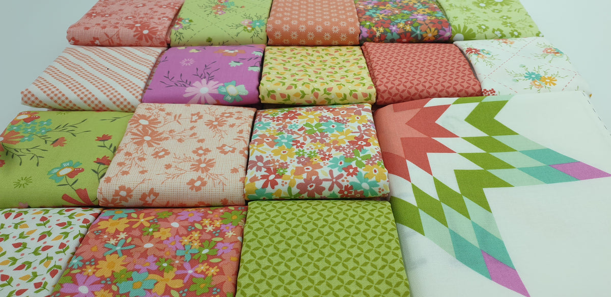 Sunnyside Up - Corey Yoder Moda Fat Quarter Pack 16pc + Panel (Style B ...