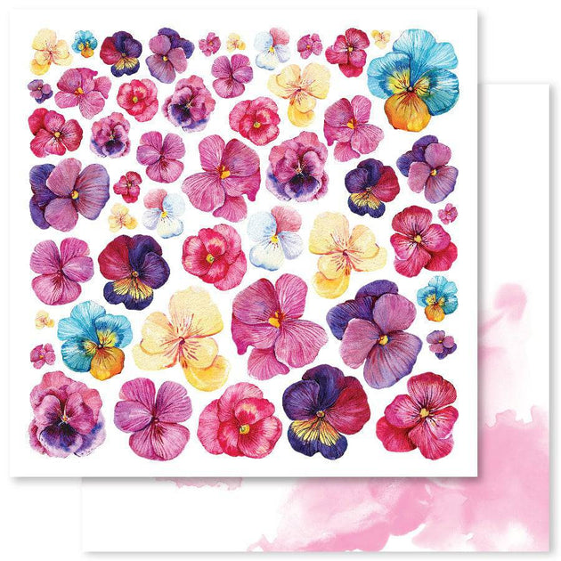 Pansy Garden E 12x12 Paper (12pc Bulk Pack) 22318 – Paper Rose Studio
