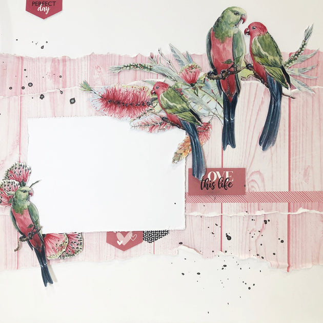 Nature Stroll 3 12x12 Paper Collection 27409 – Paper Rose Studio